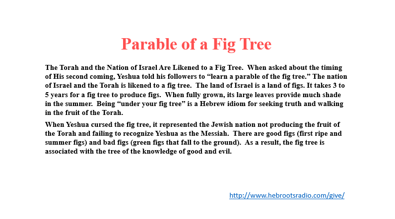 The Fig Tree Parable Explained
